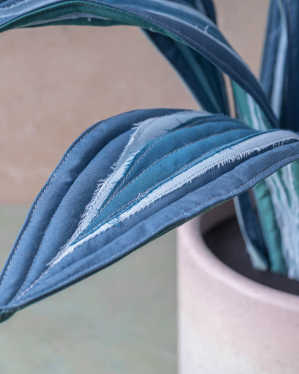 Blue Sansevieria (Snake Plant) – Fox&Pigeon