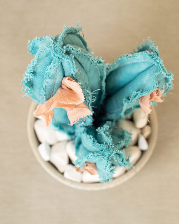 Blue Cacti – Fox&Pigeon