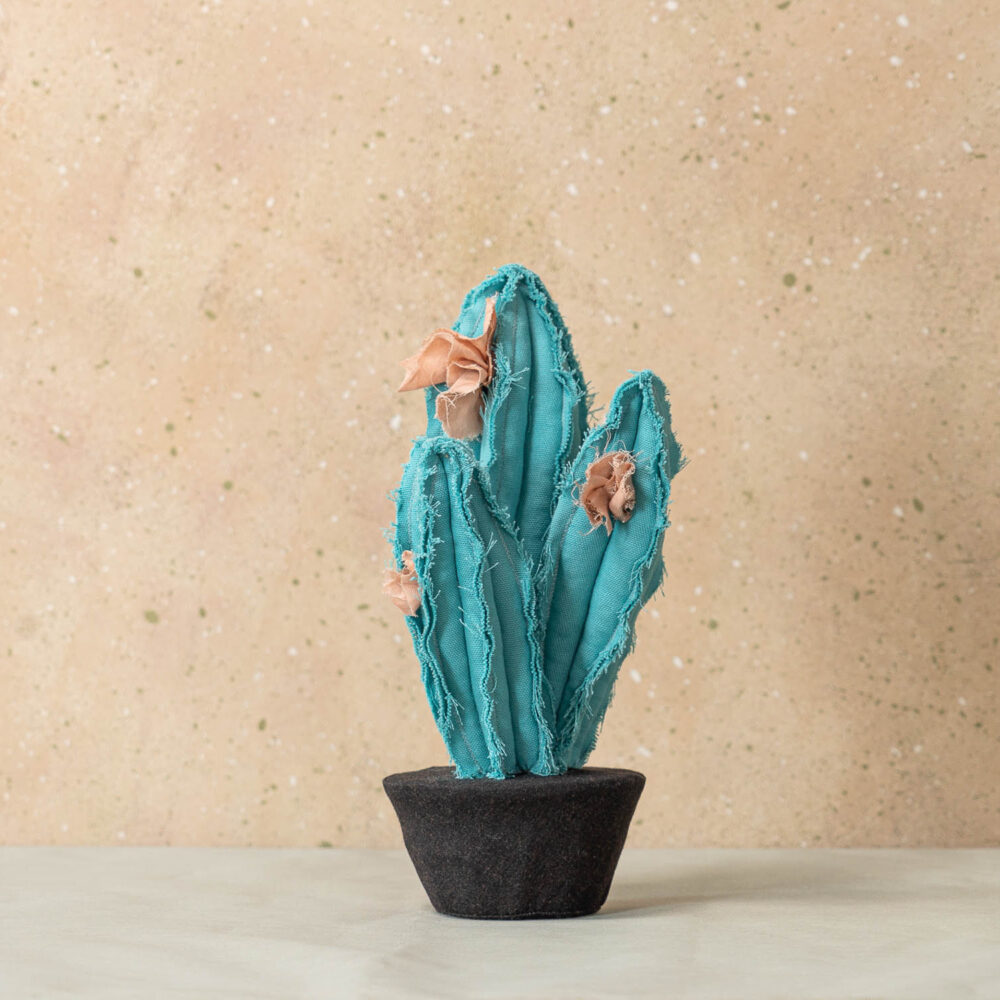 Blue Cacti – Fox&Pigeon