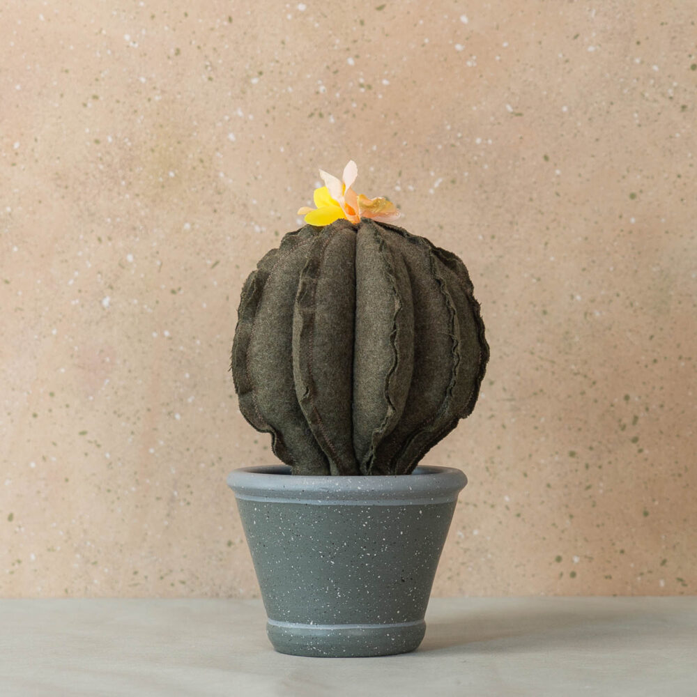 Cactus Ball Middle – Fox&Pigeon