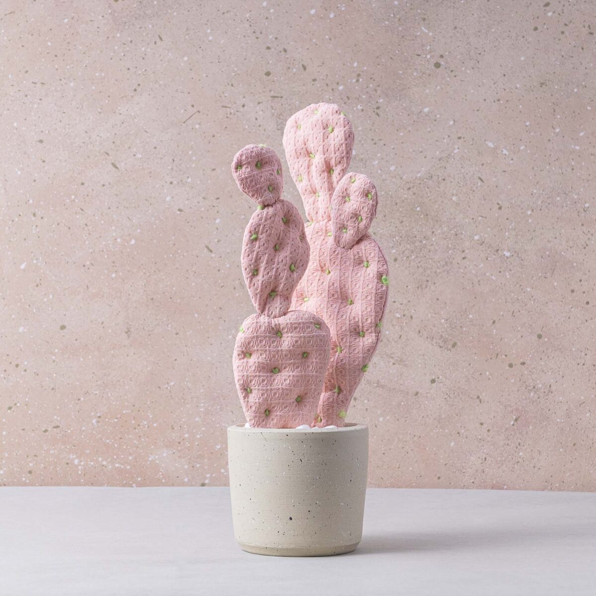 Pink Cactus – Fox&Pigeon