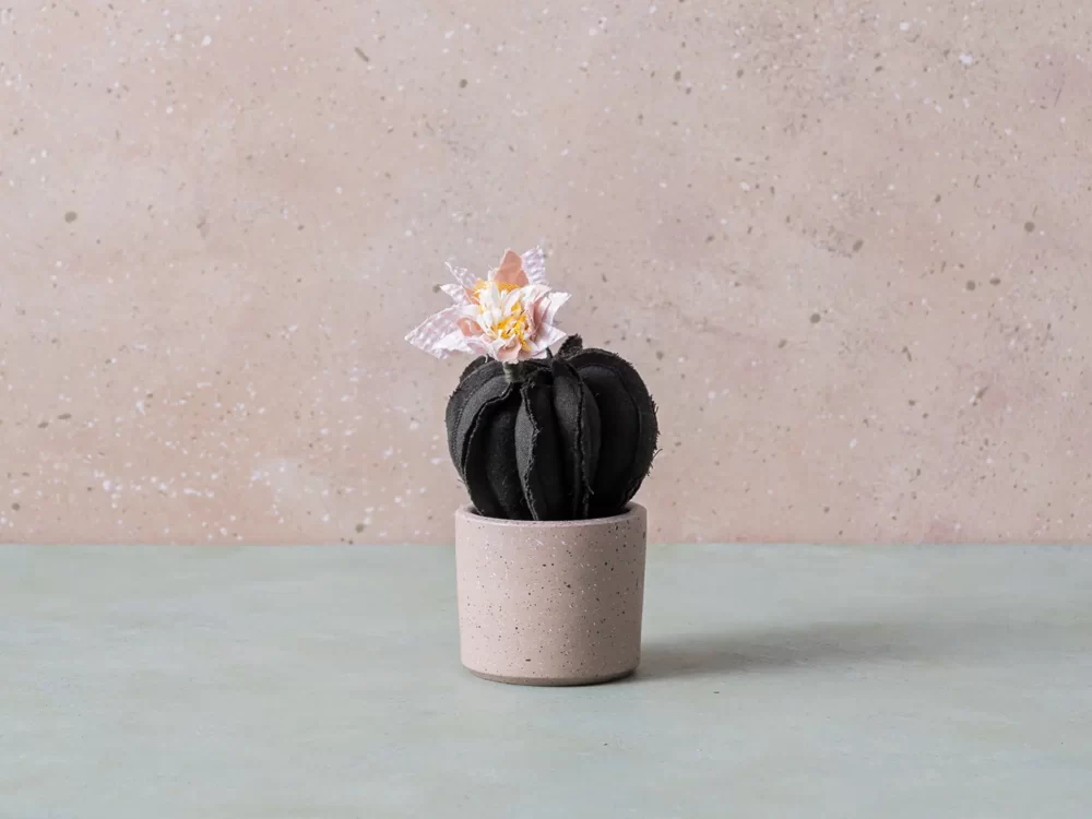 Cactus ball with a pink flower – Fox&Pigeon
