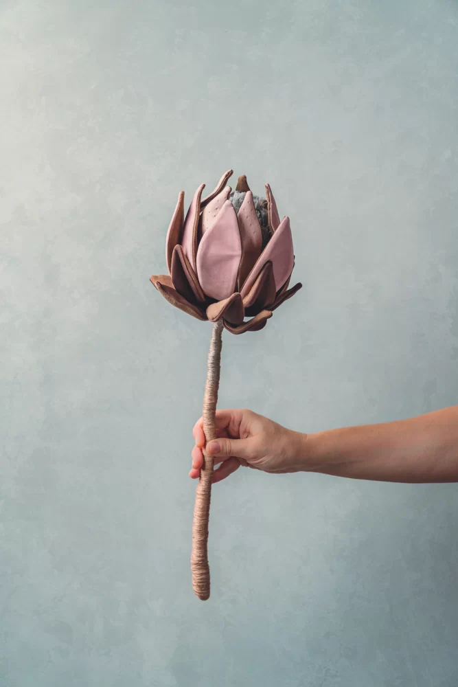 Unique King Protea Stem No:1 – Fox&Pigeon