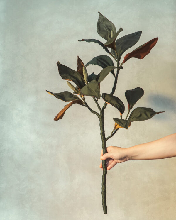 Flower – Fox&Pigeon