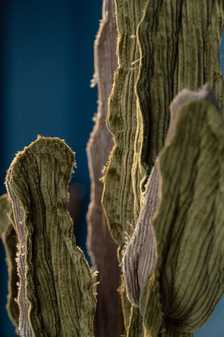 Large Cowboy Cactus – Fox&Pigeon