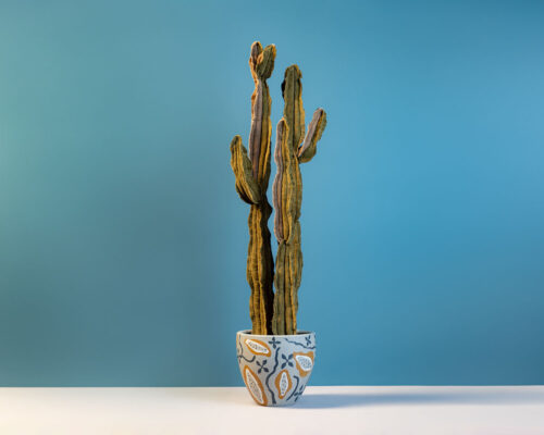 Large Cowboy Cactus – Fox&Pigeon