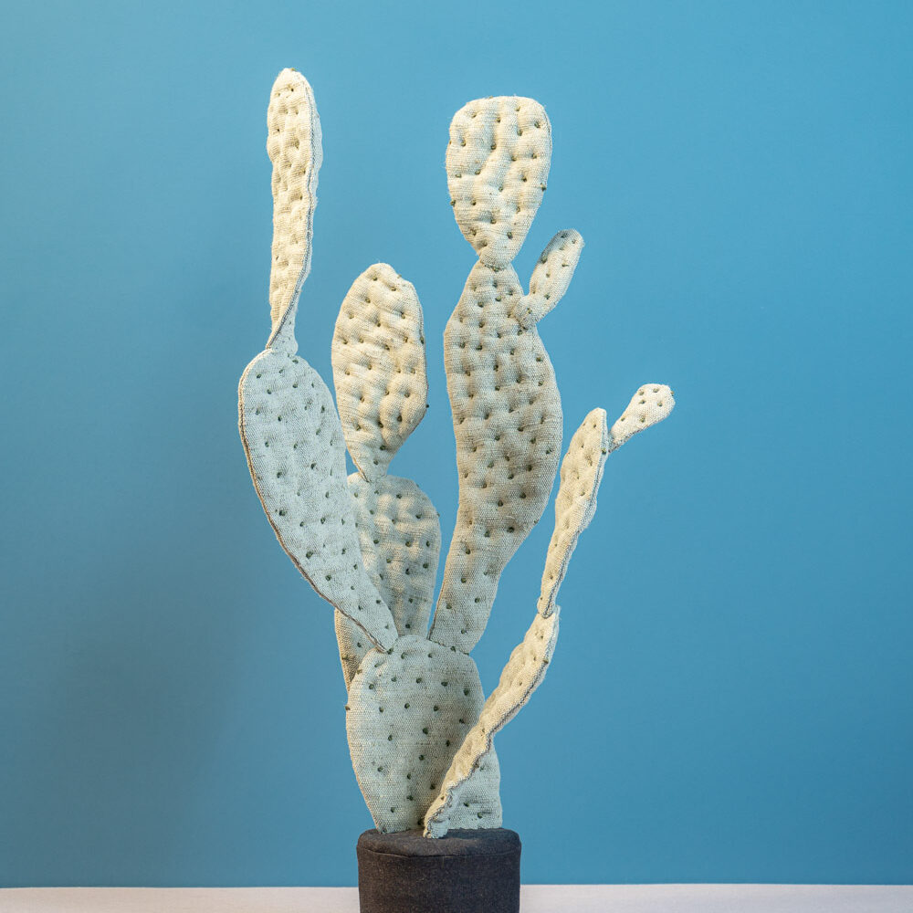 Large Opuntia cactus – Fox&Pigeon