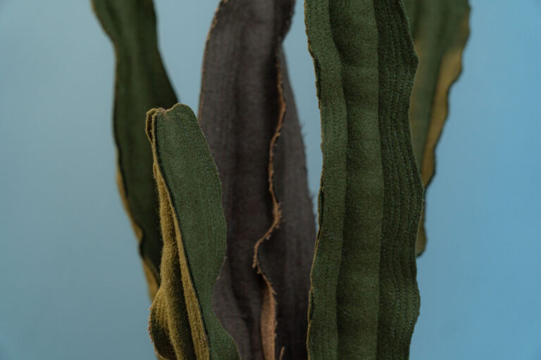 Large Candelabra Tree Cactus – Fox&Pigeon