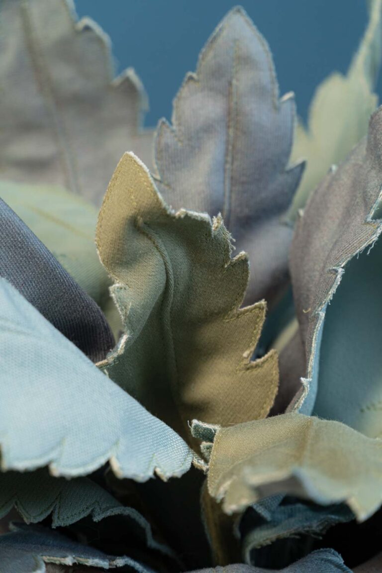 Blue Philodendron – Fox&Pigeon