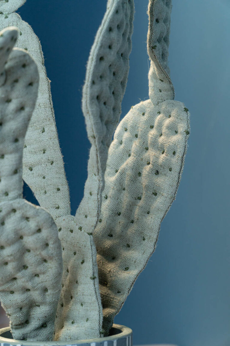Large Opuntia cactus – Fox&Pigeon