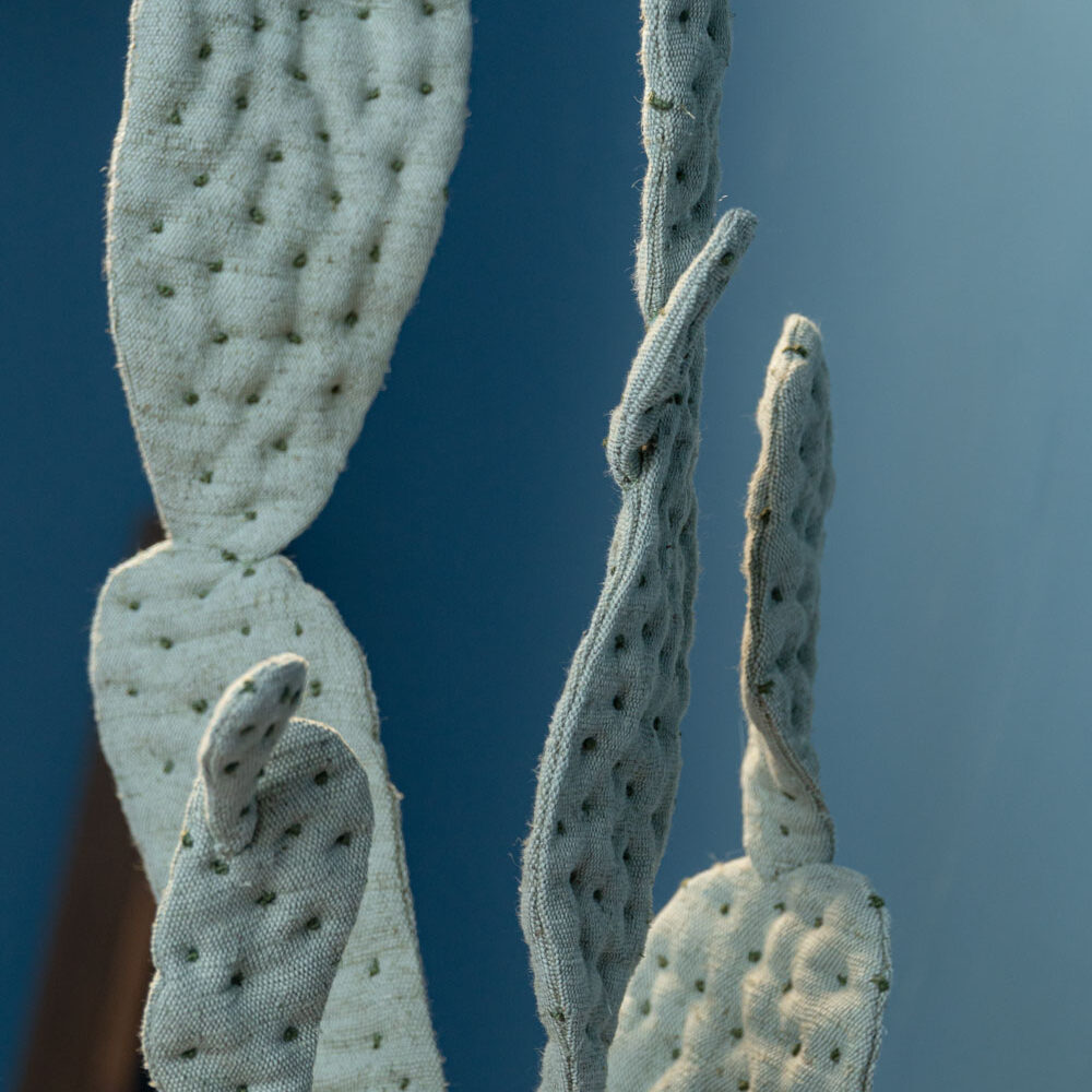 Large Opuntia cactus – Fox&Pigeon