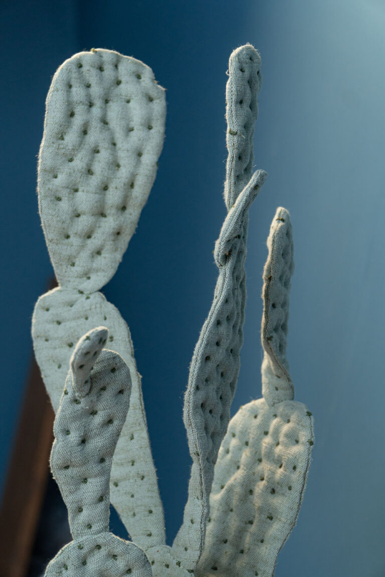 Large Opuntia cactus – Fox&Pigeon