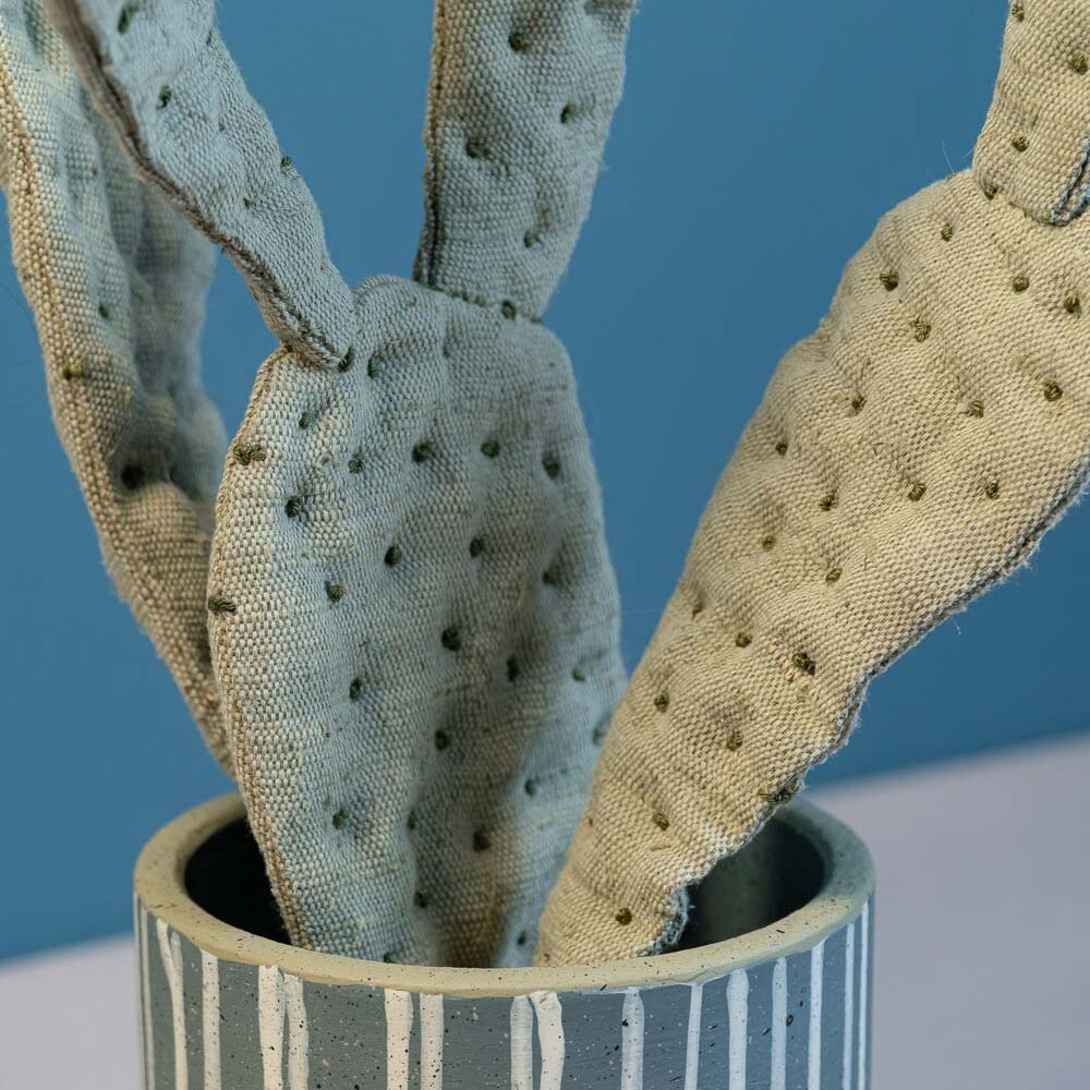 Large Opuntia cactus – Fox&Pigeon