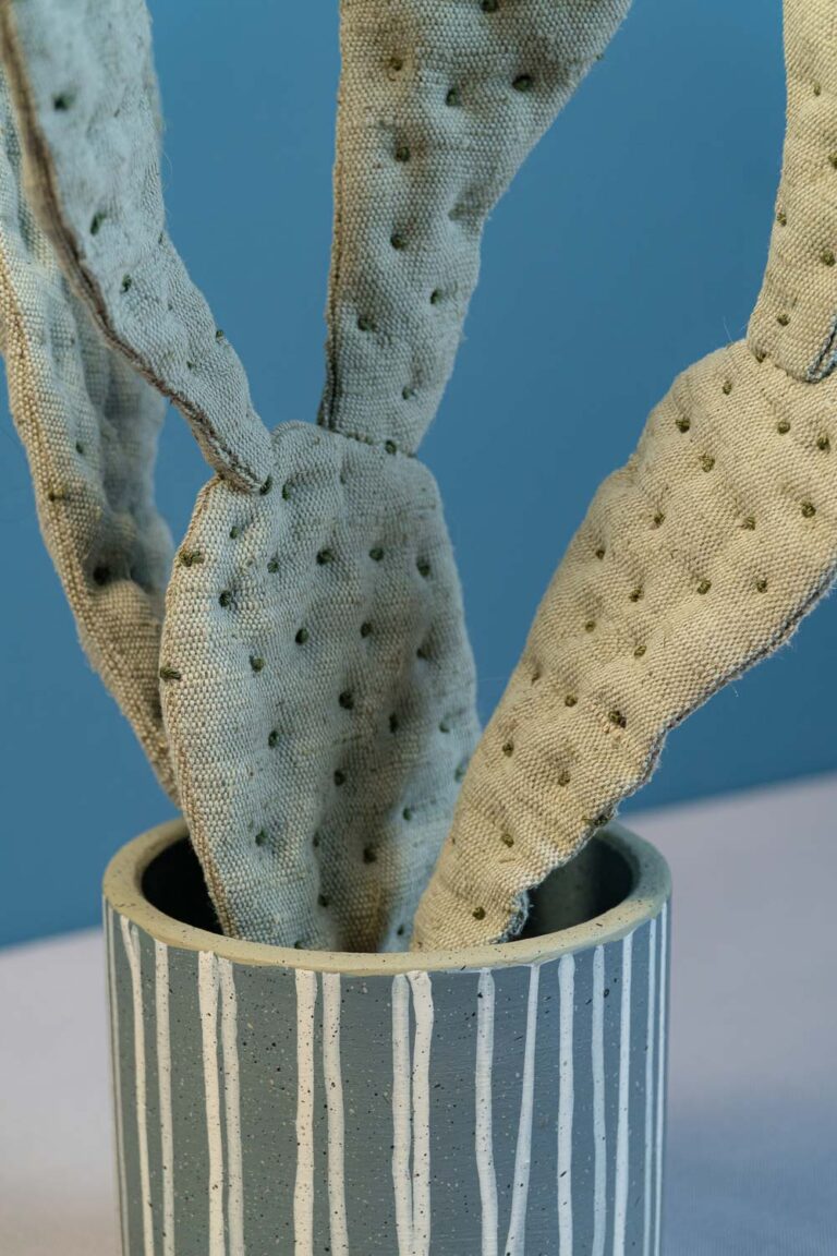Large Opuntia cactus – Fox&Pigeon
