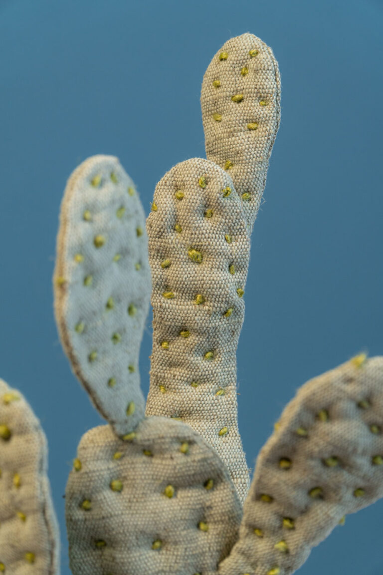 Plant – Fox&Pigeon