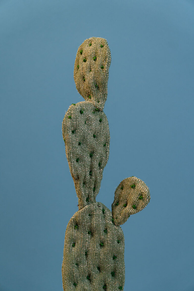 Opuntia Dark – Fox&Pigeon