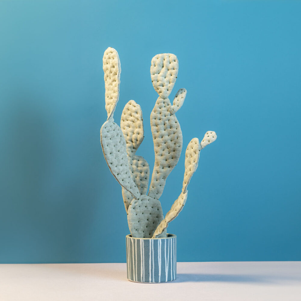 Large Opuntia cactus – Fox&Pigeon