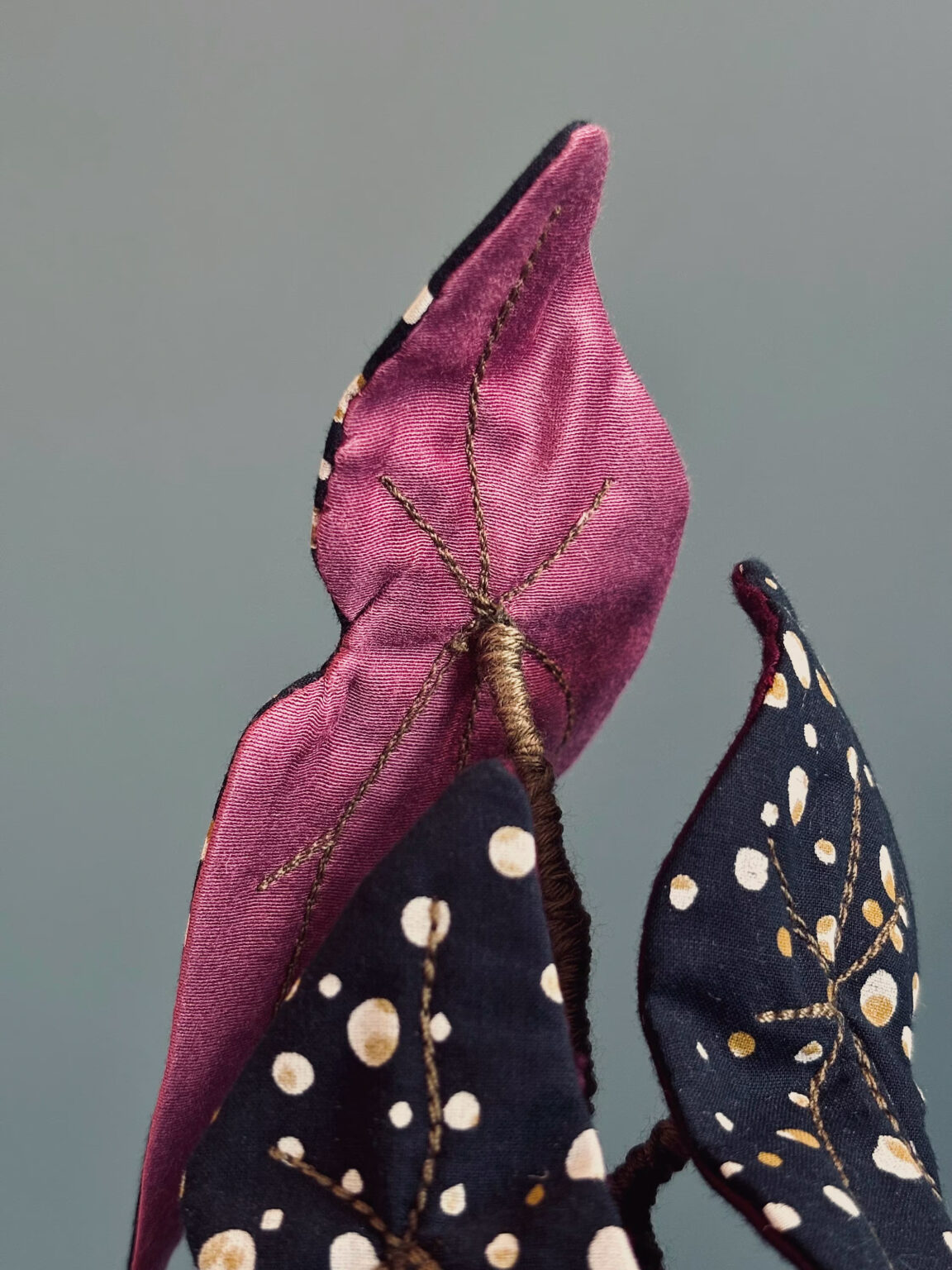 Begonia Maculata – Fox&Pigeon